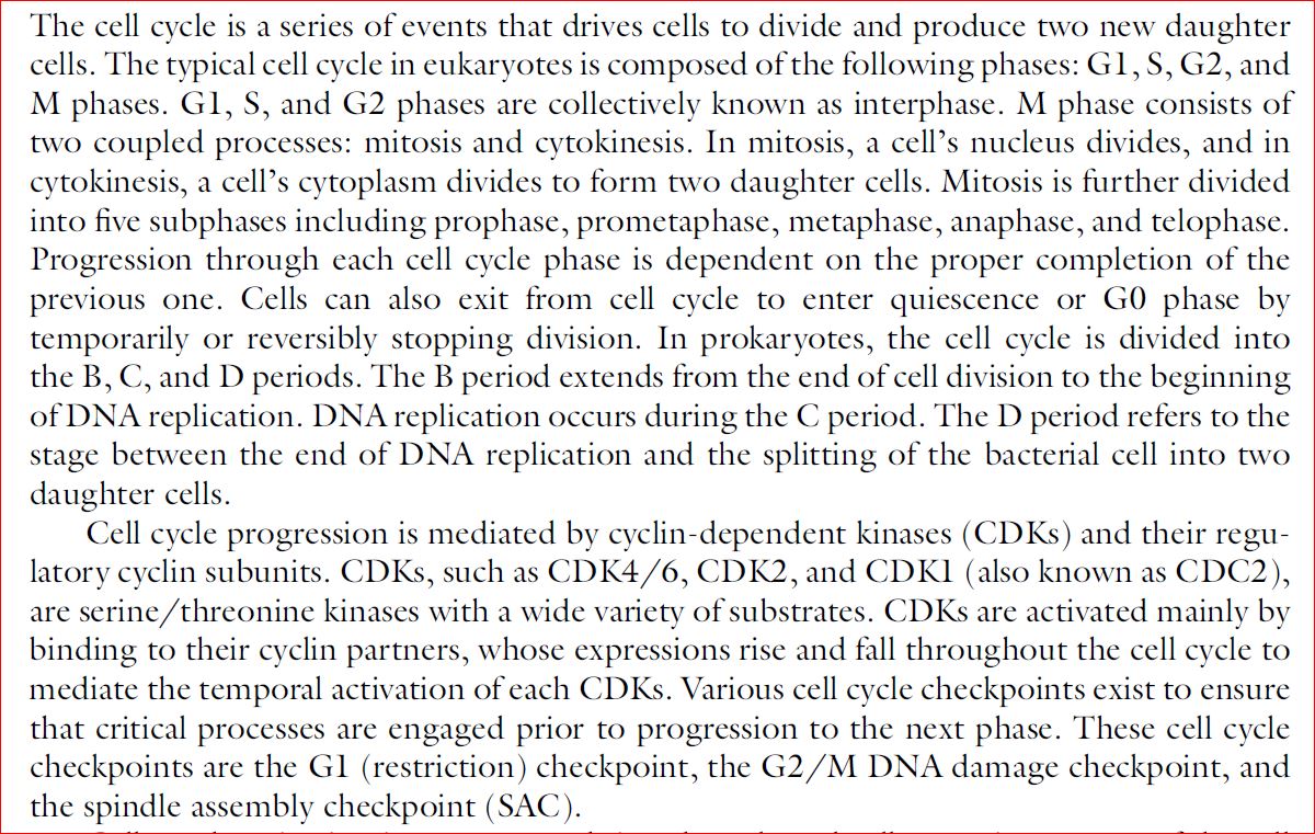 دانلود کتاب روش ها و پروتکل های همگام سازی چرخه سلولی - مجله علمی تفریحی بیبیس